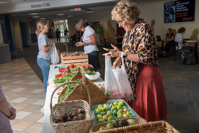 CHIP program ready to promote healthy food and lifestyle changes