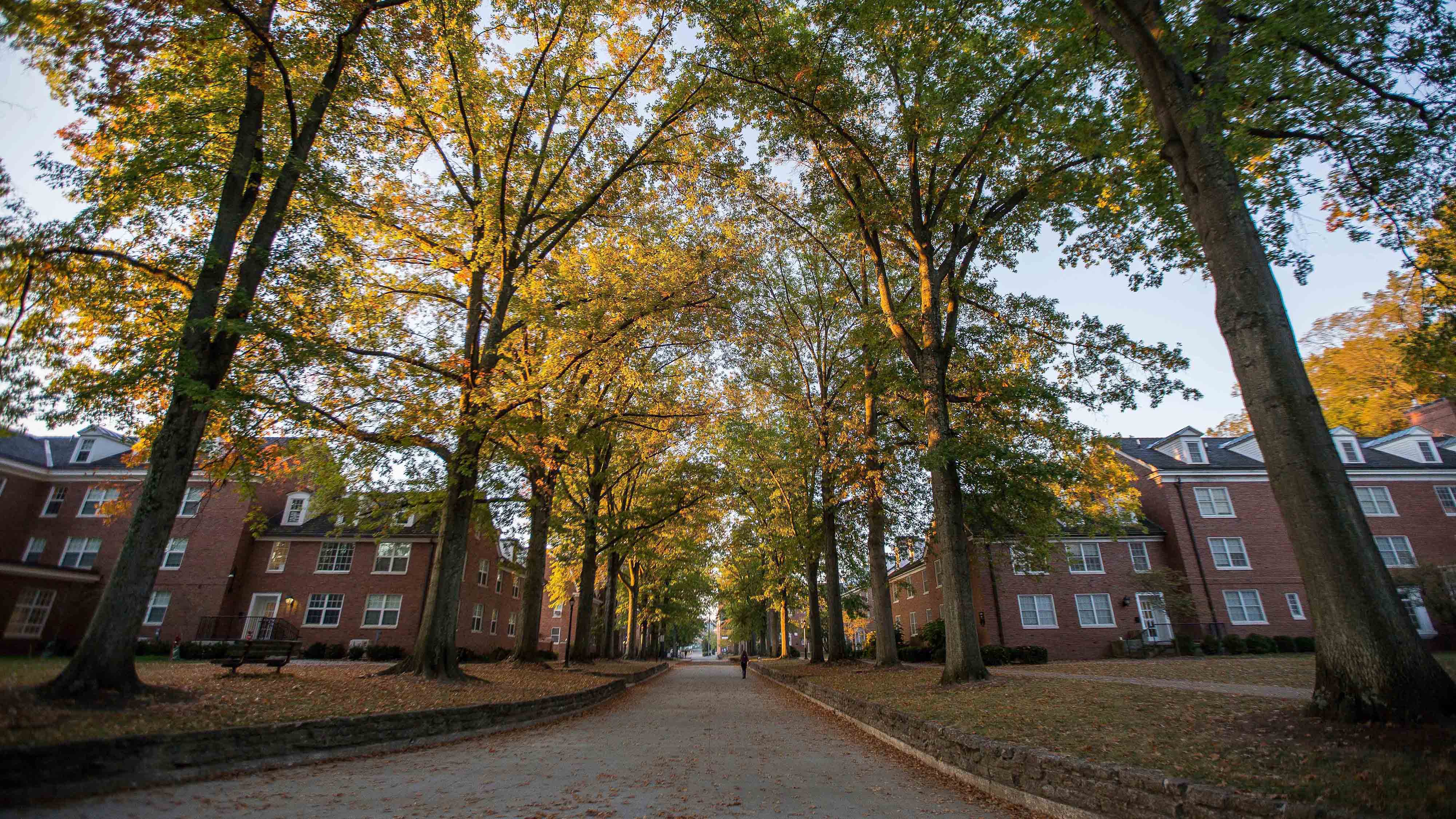 Looking forward to Fall 2020