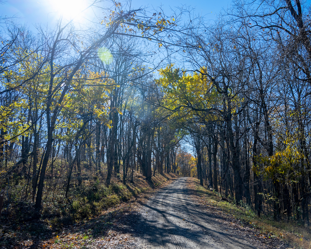 Ohio University transfers Dysart Woods property to Captina Conservancy to ensure preservation